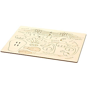 Harry Potter Hedwig 3D Wood Puzzle & Model Figure Kit (24 Pcs) - Build & Paint Your Own 3-D Movie Toy - Holiday Educational Gift for Kids & Adults, No Glue Required, 8+ 