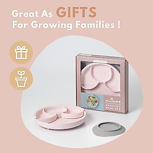 Miniware Healthy Meal Set with Sandwich Plate, Divider, and Detachable Suction Foot for Baby Toddler Kids - Promotes Self Feeding | Dishwasher Safe (Key Lime, Key Lime)