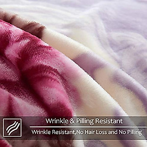 JYK Soft Blanket Heavy Korean Mink Blanket, 5 LB Fleece Blanket - 2 Ply Reversible 520GSM Silky Soft Plush Warm Blanket for Autumn Winter (Queen, Peony/Peony)