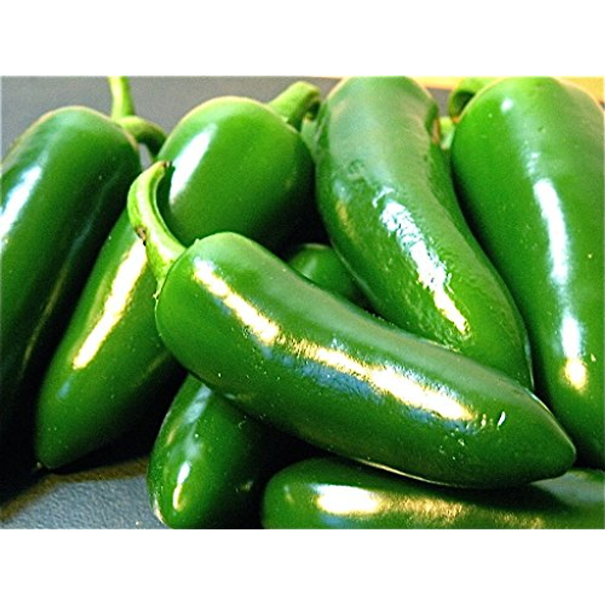 Giant Jalapeno Pepper Seeds Huge PODS Great Stuffers MILD (25 Seeds)