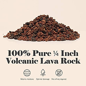 Bonsai Jack - Red/Maroon 1/4 inch Horticultural Lava Rock Soil Additive for Cacti, Succulents, & Plants - No Dyes or Chemicals - 100% Pure Volcanic Rock (2 Gallons)