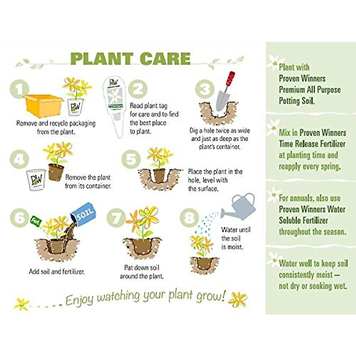 4.5 in. Qt. Quick Fire 'Fab' Hydrangea, Live Plant, White and Pink Flowers