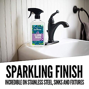 Aunt Fannie's All Purpose Cleaning Vinegar, Multisurface Spray Cleaner, 16.9 Ounces, Lavender Scent (Pack of 1)