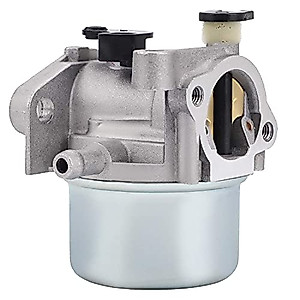 HIPA 799866 Carburetor for Briggs and Stratton 794304 796707 790845 799871 Engine Motor Lawn Mower Toro 190CC Walk Behind Lawn Mower