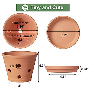 6 inch Terracotta Orchid Pots with Holes and Saucers, 3 Pack Clay Orchid Planter Pots for Repotting, Small Terra Cotta Orchid Pot, Plant Flower Pots for Orchid Indoor Outdoor Promotes Air Circulation
