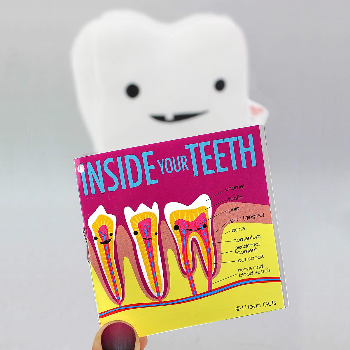 I Heart Guts Tooth Plush - You Can’t Handle The Tooth - 7” Tooth Pillow with Pocket, Great Dental Gifts for Dentists, Dental Hygienists, and Kids