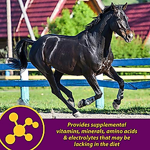 Horse Health Maxum Crumbles Concentrated Feed Supplement for Horses, Provides a Wide Range of Beneficial nutrients for Today's Equine Athlete 25 Pound