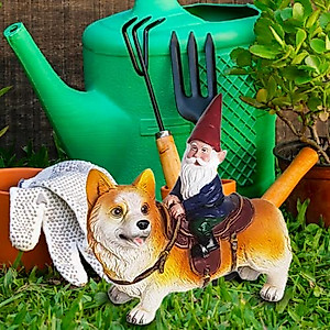 Funny Guy Mugs Garden Gnome Statue - Gnome Riding a Corgi - Indoor/Outdoor Garden Gnome Sculpture for Patio, Yard or Lawn