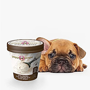 Puppy Scoops Ice Cream Mix for Dogs: Maple Bacon - Add Water and Freeze at Home!, 4.65 oz Made in USA