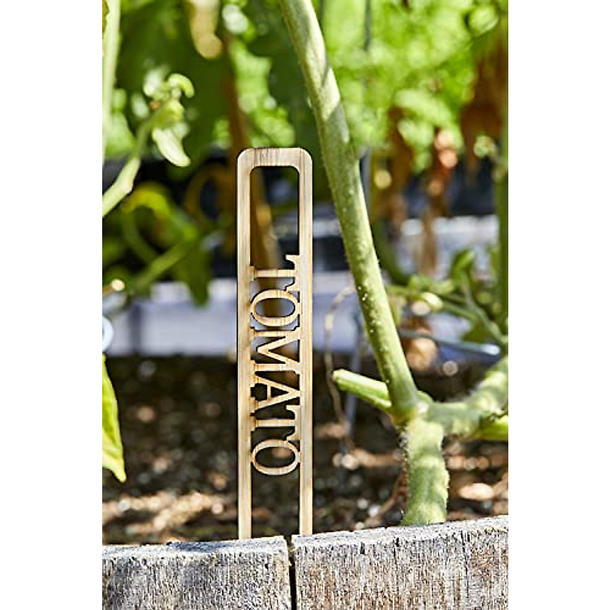 Prospero Living Garden Stakes - Premium 7 Inch Wooden Herb and Vegetable Garden Plant Labels – for Indoor and Outdoor Planters, Pots and Boxes – 25 Commonly Grown Herbs, Veggies, and Fruits.