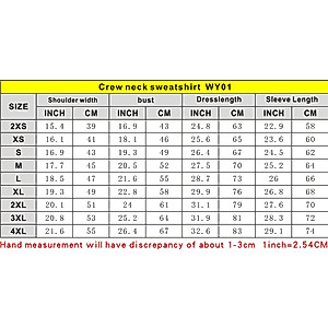 XPLR Sam and Colby Chainlink Sweatshirt Crewneck Long Sleeve Streetwear Men Women's Clothes (Black,L)