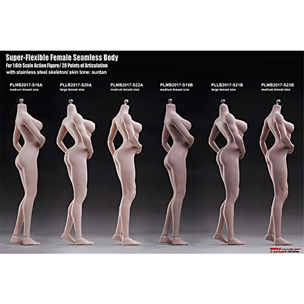 HiPlay TBLeague 1/6 Scale 12 inches Female Super Flexible Seamless Figure Body, Muscular Body Type, Large Bust, Minature Collectible Action Figures (Suntan Skin, S21B (Muscular & Large Bust))