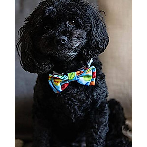 H&K Bow Tie for Pets | Party Time Blue (Extra-Large) | Birthday Velcro Bow Tie Collar Attachment | Fun Bow Ties for Dogs & Cats | Cute, Comfortable, and Durable | Huxley & Kent Bow Tie