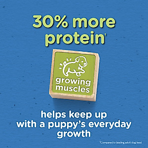 Purina Puppy Chow High Protein Dry Puppy Food, Complete With Real Chicken - (4) 4.4 lb. Bags