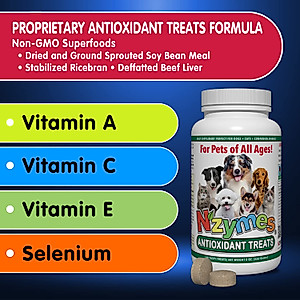 Nzymes® Antioxidant Tiny Treats - for Dogs Joints, HIPS, Paralysis, Skin, Coat, Hair Loss, Aging, Digestion, Seizures - Dog Treats for Small Dogs - 90 Treats - Made in The USA