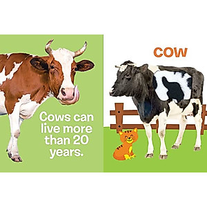 Touch and Feel Farm Animals - Novelty Book - Children's Board Book - Interactive Fun Child's Book