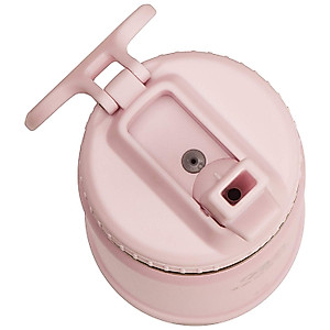 Takeya Actives 32 oz Vacuum Insulated Stainless Steel Water Bottle with Straw Lid, Premium Quality, Blush