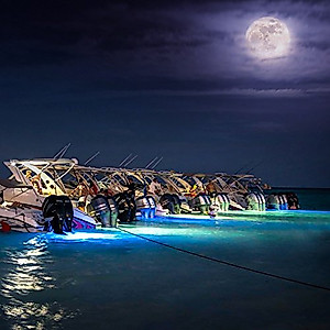 Lumitec Lighting 101511, LED Underwater Light, SeaBlaze Quattro Underwater Light, Dual Color White / Blue