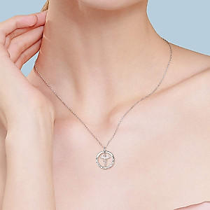 WINNICACA Nurse Jewelry for Women Caduceus Necklace Nurse Christmas Gifts Sterling Silver Nurse Themed Pendant She Believed She Could So She Did Nurse Graduation Gifts White Coat Ceremony Doctor
