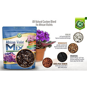 Organic African Violet Potting Mix - Made in USA with Premium Grade Ingredients - Coco Peat Humus • Perlite • Vermiculite • Horticultural Biochar Charcoal to Improve Plant Growth