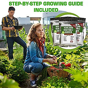 10 Assorted Vegetable Seeds - 100% Non GMO Variety Pack - 840+ Heirloom Garden Seeds for Planting Vegetables - Cucumber, Carrot, Tomatoes, Broccoli, Cabbage, Radish Seeds and More