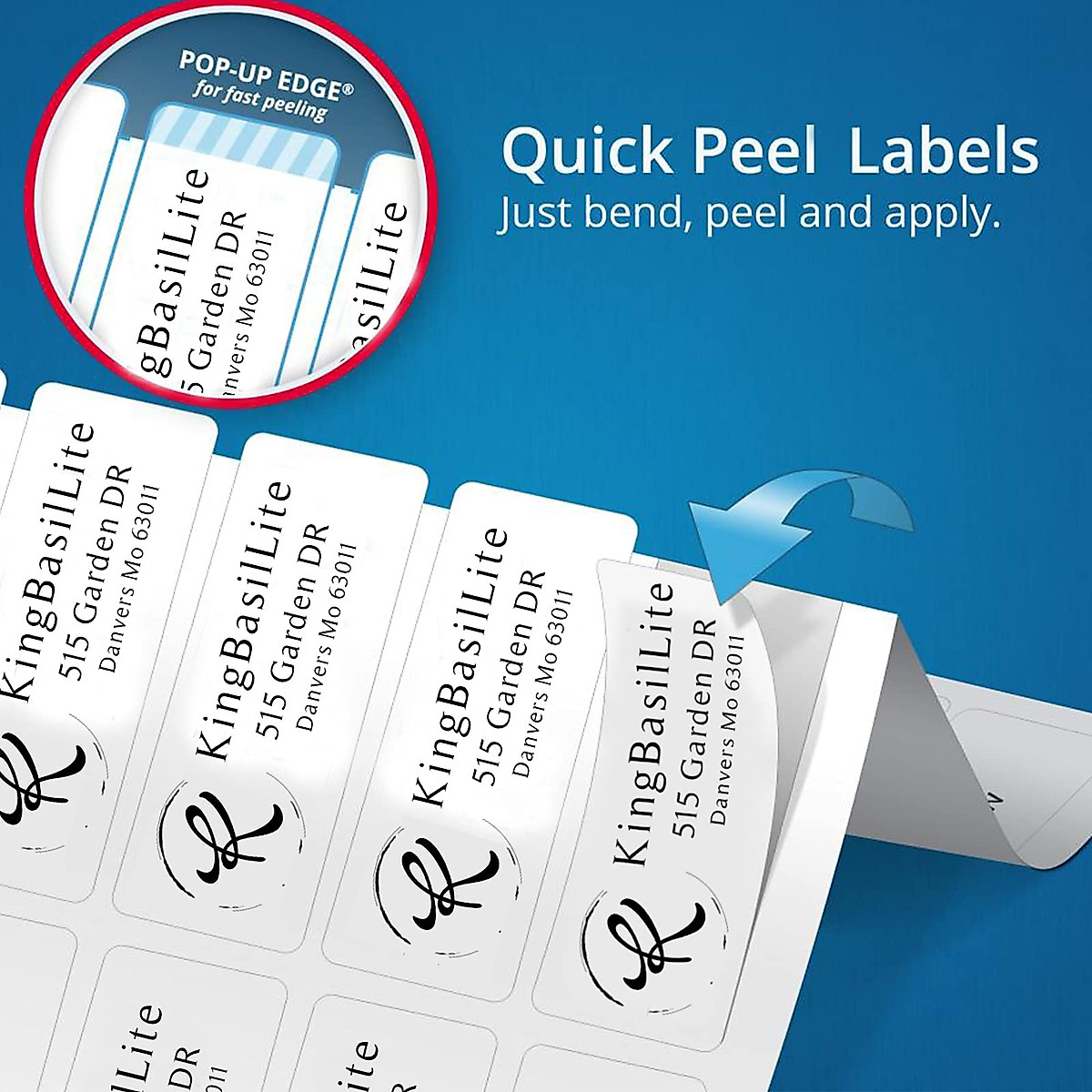 LINMAGCO Personalized Return Address Labels Clear 500 Pcs Mail Labels for Envelopes Weddings Self Adhesive Rectangle Elegant Name Stickers…