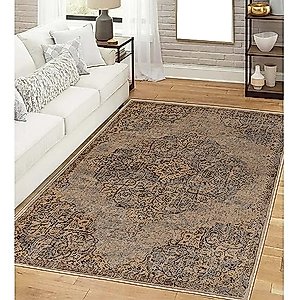 SUPERIOR Indoor Area Rug or Runner, Traditional Distressed Medallion Floor Decor, Home Accessories for Living Room, Bedroom, Office, Kitchen, Dining, Soft Plush Rugs, Maeve Collection, 8' x 10'