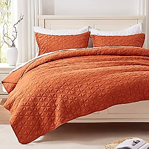 Burnt Orange Queen Size Quilt Bedding Sets-3 Pieces, Lightweight Summer Bedspread/Coverlet-90''x98'', Luxurious Soft 3D Ultrasonic Microfiber Bed Quilt for All Seasons (Includes 1 Quilt,2 Shams)