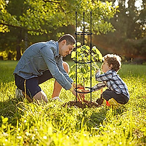 MIXXIDEA 2 Packs Garden Trellis for Climbing Plants Outdoor and Indoor - 48-Inch Garden Obelisk Trellis Adjustable Metal Trellis for Tomato Plant Support