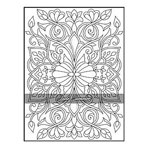 100 Amazing Patterns: An Adult Coloring Book with Fun, Easy, and Relaxing Coloring Pages