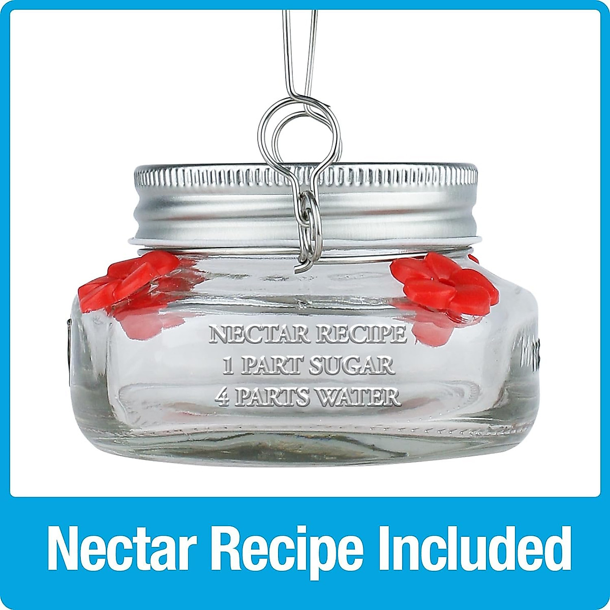 Nature's Way Bird Products MJF1 Nature's Way Mason Jar Hummingbird Dish Feeder, Clear 4" dia.
