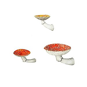 Okngr Mushroom Hanging Shelf Set of 3, Wall Floating Shelf Hanging Shelf Decor Wall Mounted for Bedroom, Living Room, Bathroom