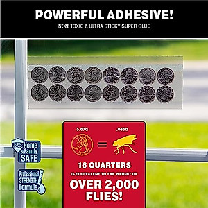 Window Fly Traps by Catchmaster - 12 Count, Ready to Use Indoors. Insect, Bugs, Fly & Fruit Fly Glue Adhesive Sticky Paper - Waterproof Easy Application Ready Disposable Non-Toxic