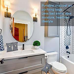 LighSele 15 Pack Charcoal Bags Odor Absorber, Bamboo Charcoal Air Purifying Bag, Nature Fresh Charcoal Air Purifier Bags for Home Shoes Pet Car Closet Fridge, Eco-Friendly & Chemical Free (15x100g)