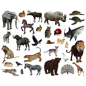 Seasonstorm Zoo Animal Precut Cute Aesthetic Diary Travel Paper Junk Journal Stickers Scrapbooking Stationery Sticker Flakes Art Supplies (PK393)