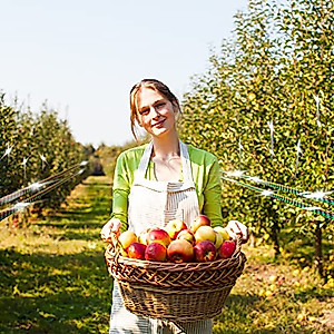 4 Roll Bird Tape Thick Tape Bird Tape Outdoor Double Side Bird Scare Ribbon Bird Device, Scare Birds Away, Pigeon, Woodpecker, Geese, 2 Inch, 1440 ft Total