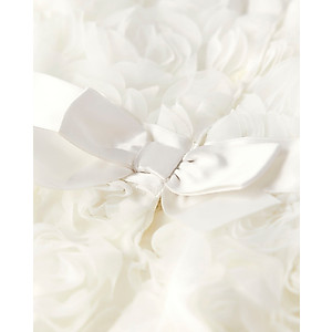 Gymboree,and Toddler Short Sleeve Holiday Dresses,White Rose,12