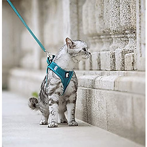 FDOYLCLC Cat Harness and Leash Set for Walking Escape Proof, Step-in Easy Control Outdoor Jacket, Adjustable Reflective Breathable Soft Air Mesh Vest for Small, Medium, Large Kitten (Turquoise, L)
