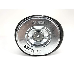 Honda 17210-ZE2-822 Pack of 2 Air Filters