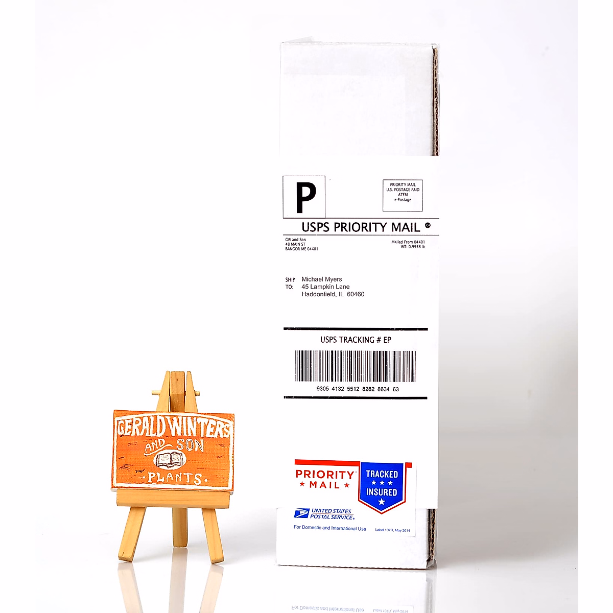 Meyer Lemon Tree Starter Plant. Citrus x meyeri. 3" - 5"