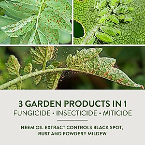 Garden Safe Neem Oil, 10 Fl Oz,  Case Pack of 6