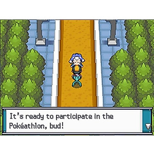 Pokemon HeartGold Version