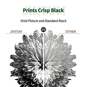 JINTUM Compatible TN850 Toner Cartridge Replacement for Brother TN850 High Yield Toner TN-850 TN820 TN-820 for use with MFC-L5900DW HL-L6200DW MFC-L6800DW MFC-L5850DW HL-L5100DN Printers (2 Black)
