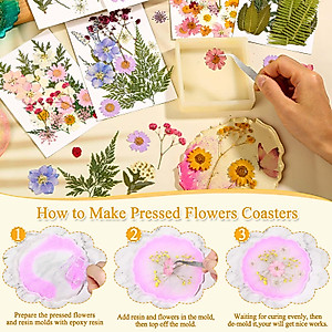 6 Sheets Dried Pressed Flowers for Crafts, Real Dried Florals and Leaves for Scrapbooking Resin Jewelry Molds Candle Soap Making Nail Art Makeup