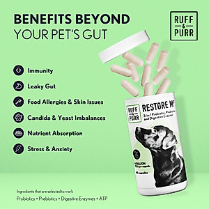 Ruff & Purr Probiotics for Dogs – Multi-Strain Probiotics and Prebiotics for Gut Health, Immune Support, Healthy Skin and Coat – Clinically Studied DE111 & PreforPro – 60 Easy to Give Capsules