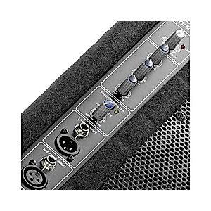 Behringer Eurolive F1320D 300W 12 inch Active Floor Monitor