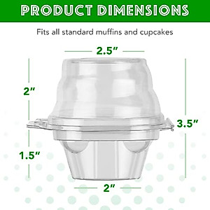 Clear Cupcake Boxes Individual Cupcake Containers | Stackable Cupcake Holder With Lid | Airtight Box Disposable Cupcake Containers | Dome Cupcake Carrier | Cupcake Holders Individual 50 Per Pack