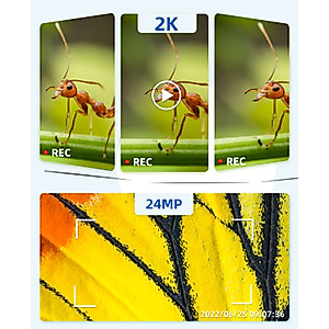 TOMLOV DM401 2K Digital Microscope 1200x, HDMI LCD Microscope with Screen, Extension Tube Included for Entire Coin View,24MP Soldering Microscope with Lights,Windows/iOS Compatible