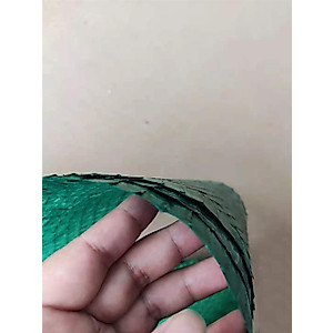 Snake Skin Snakeskin Pieces Assorted Colors Hide Leather Natural 47in (Green)