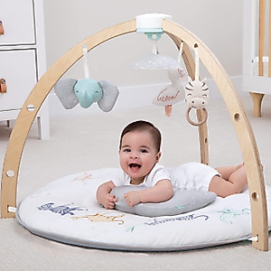 aden + anais Play and Discover Baby Activity Gym – 30+ Developmental Benefits - 3 Attachable Toys + Plush Tummy Time Pillow – 100% Cotton Muslin – Machine Washable